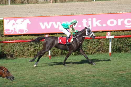 1971 yılında kurulan Söktaş